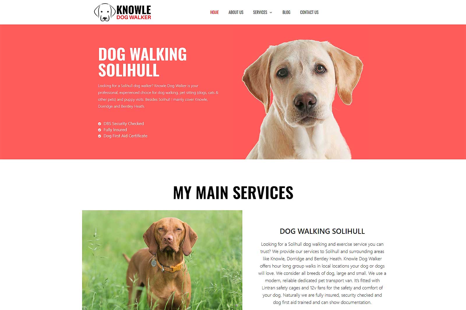 How Do I Set Up A Dog Walking Website?