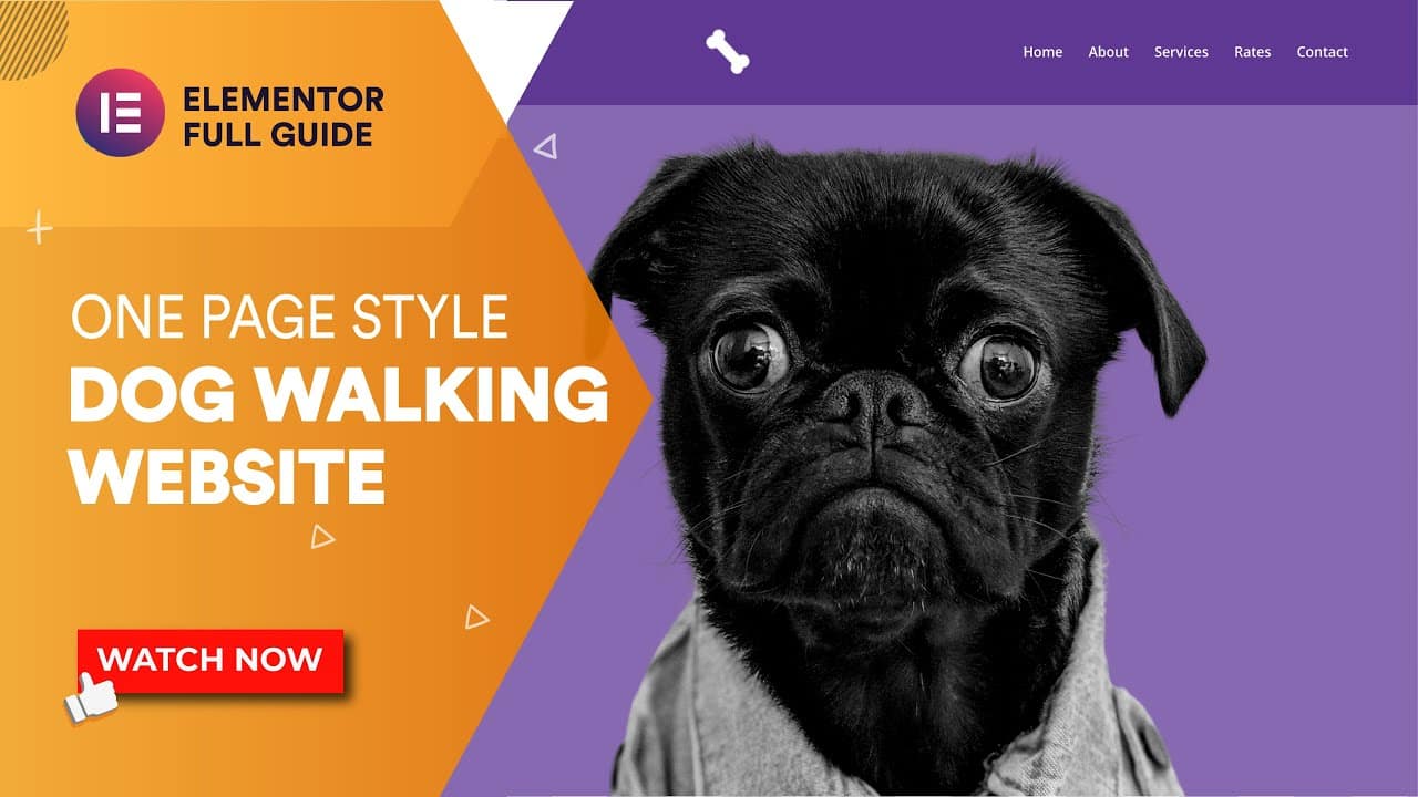How Do I Set Up A Dog Walking Website?