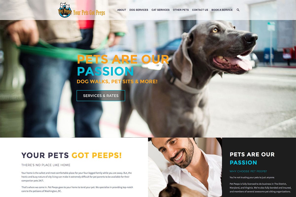 How To Build Trust: Key Credibility Features For Your Pet Sitting Website